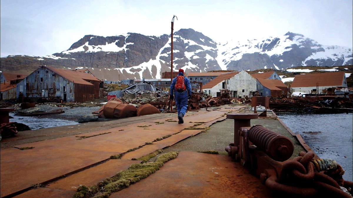BBC Four - Britain's Whale Hunters: The Untold Story, The Rise, Leith ...