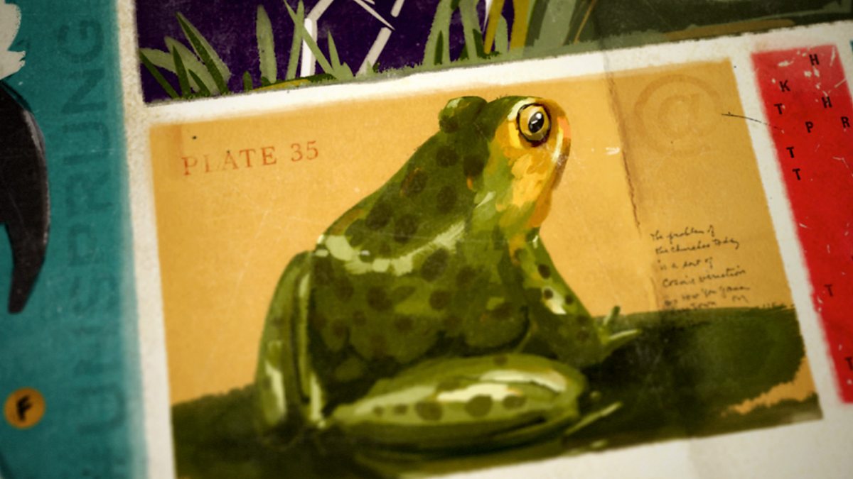 BBC Two - Springwatch, Unsprung sound quiz