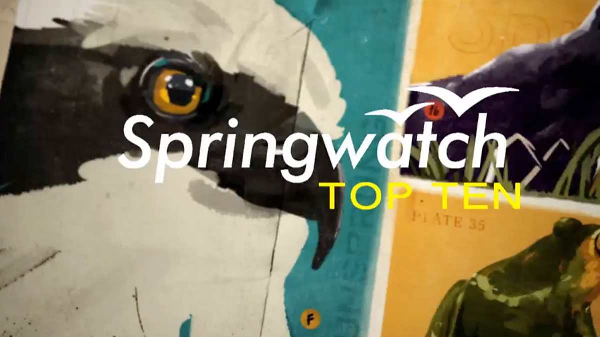 BBC Two - Springwatch, Springwatch Top Ten - Lloyd's starlings
