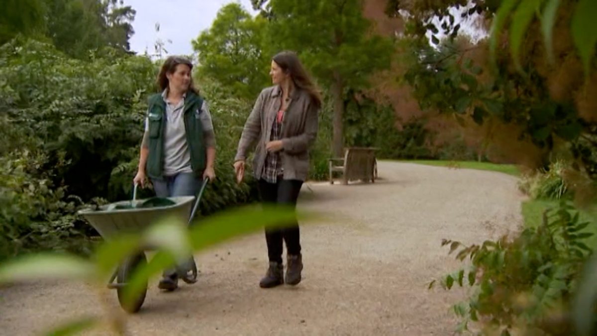 BBC Two - Gardeners' World, 2011, Episode 14, Pruning spring-flowering ...