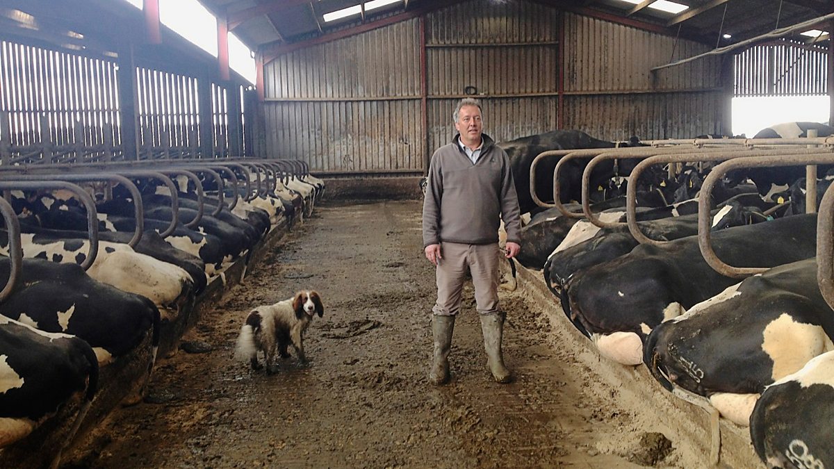 BBC Radio 4 - On Your Farm, Welsh mega-dairy