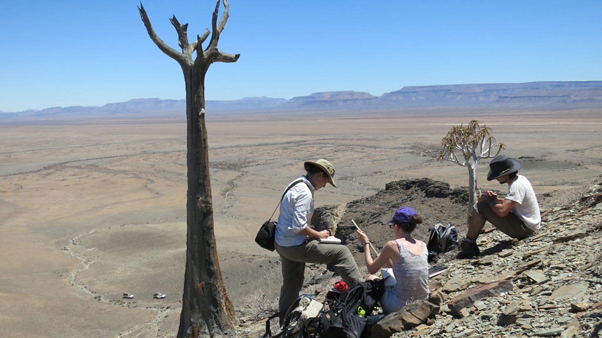 BBC World Service - Science In Action, Ancient Namibian Reef