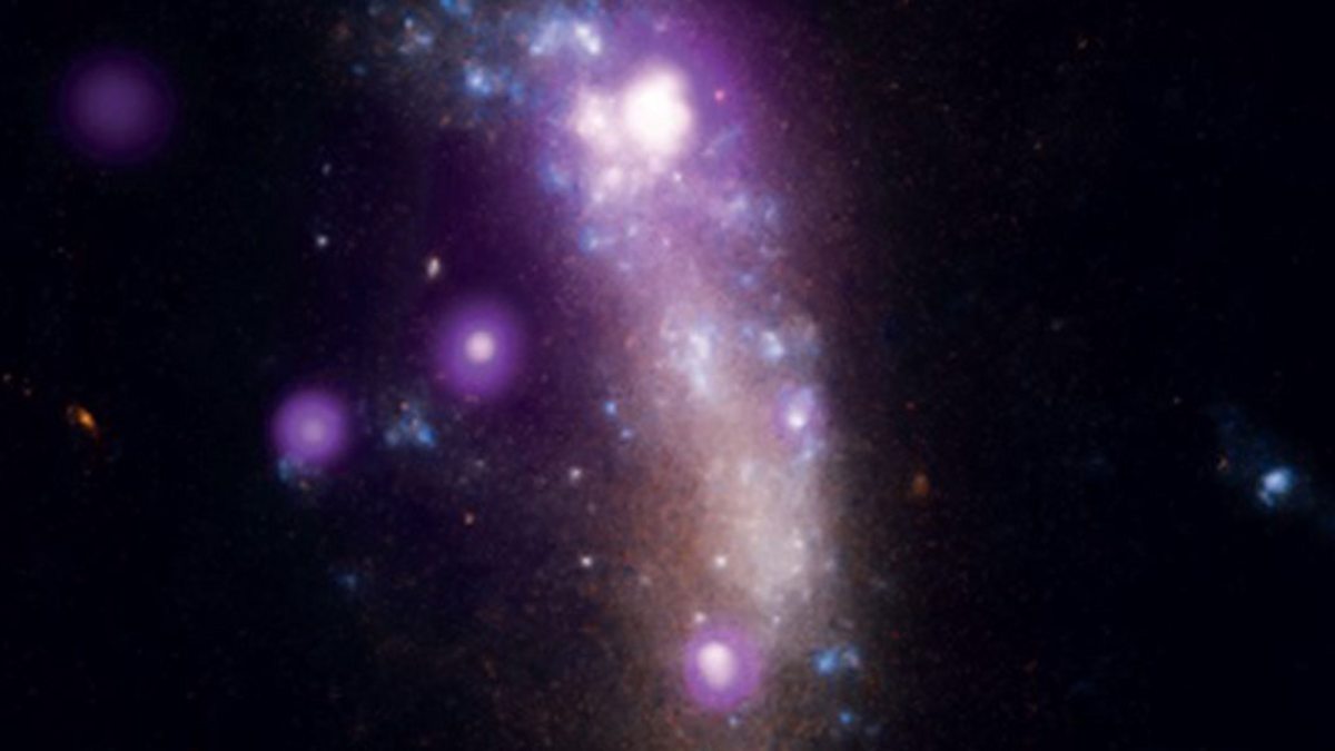 BBC World Service - Science In Action, Cosmic Dust