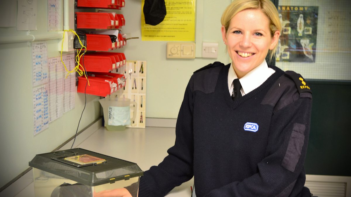 BBC One - Animal SOS