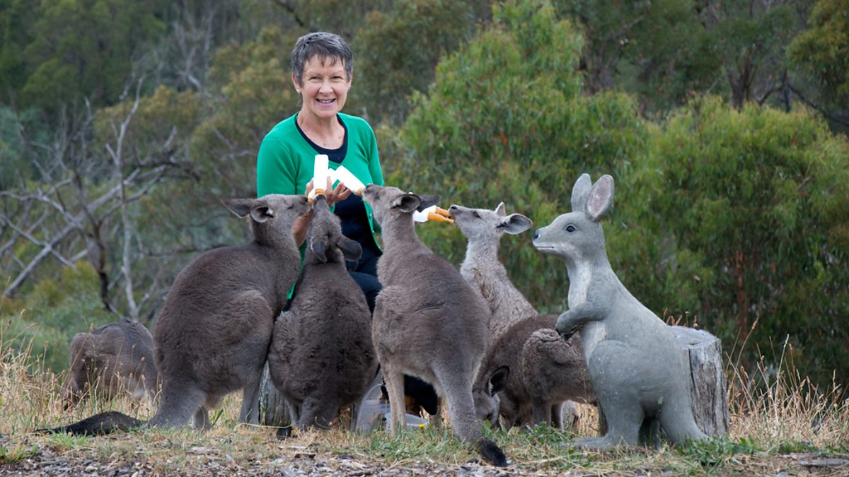 BBC One - Nature's Miracle Orphans, Series 1 - Stella Reid