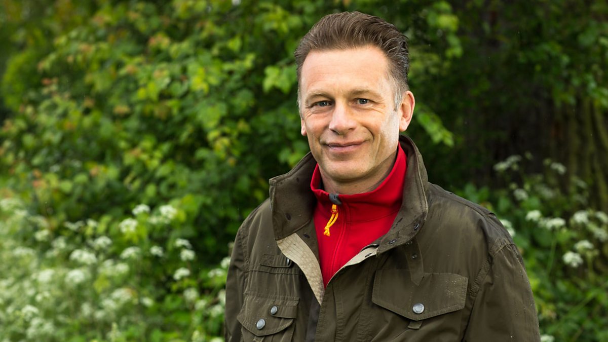BBC World Service - The Interview, Naturalist and Wildlife Film-maker ...