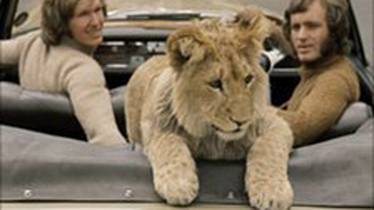 BBC World Service - Witness History, Christian: The Lion From London