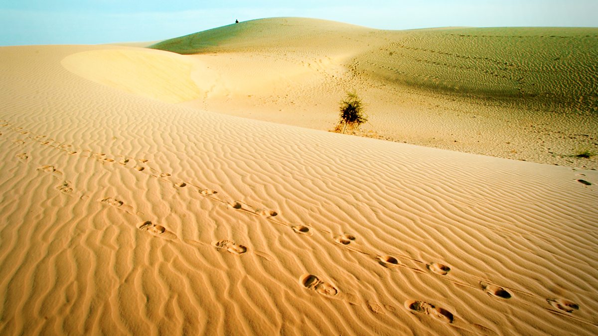 BBC News - Racing the Sahara