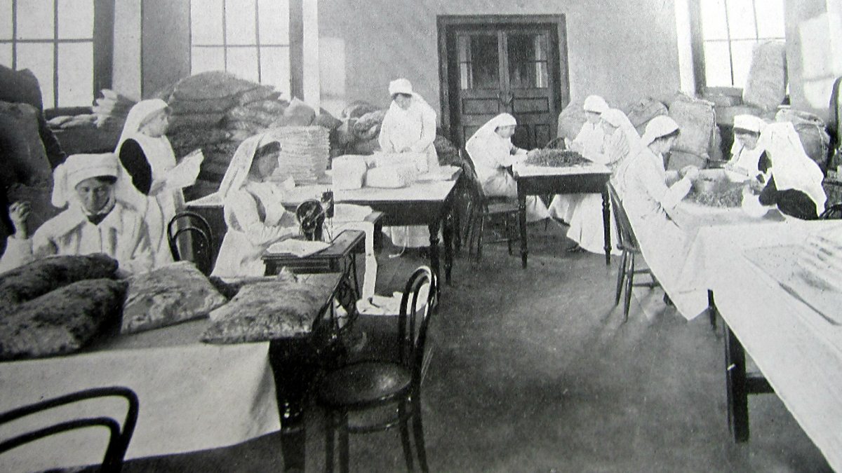 BBC - World War One At Home, The Bog of Allen, Co Kildare: Sphagnum ...