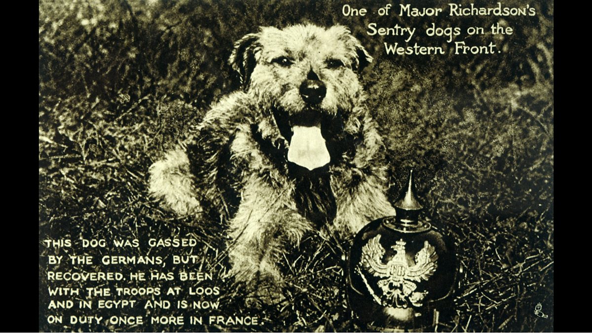 BBC - World War One At Home, Angus, Scotland: Setting up the British ...