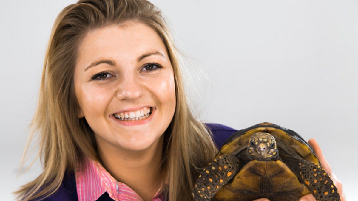 BBC Two - Young Vets - Student Vets