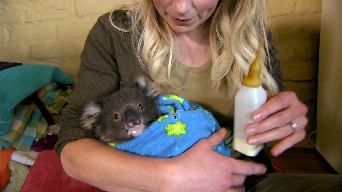 BBC One - Nature's Miracle Orphans, Series 1, Episode 1, Ellie meets ...