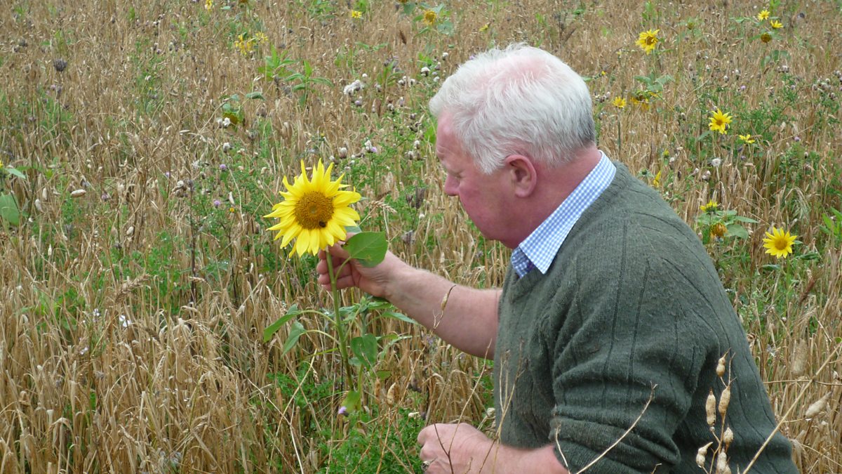 BBC - Chris takes a closer look - Chris Skinner's High Ash Farm at ...