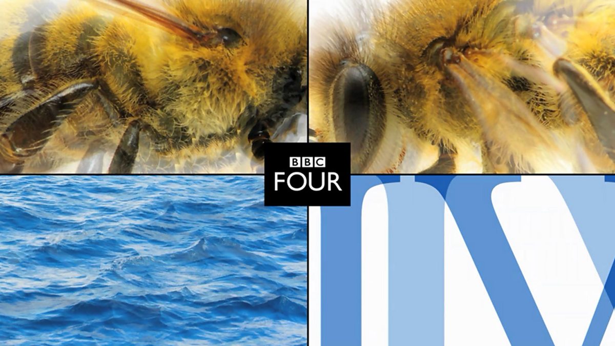 BBC Four - BBC Four Trailers, BBC Four Abstract Idents - John Smith