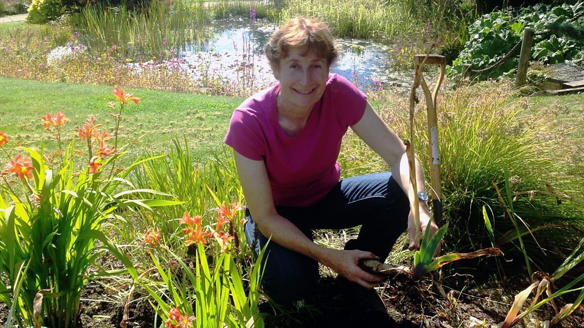 BBC Two - The Beechgrove Garden, 2014, Episode 20, Jim warns us about ...