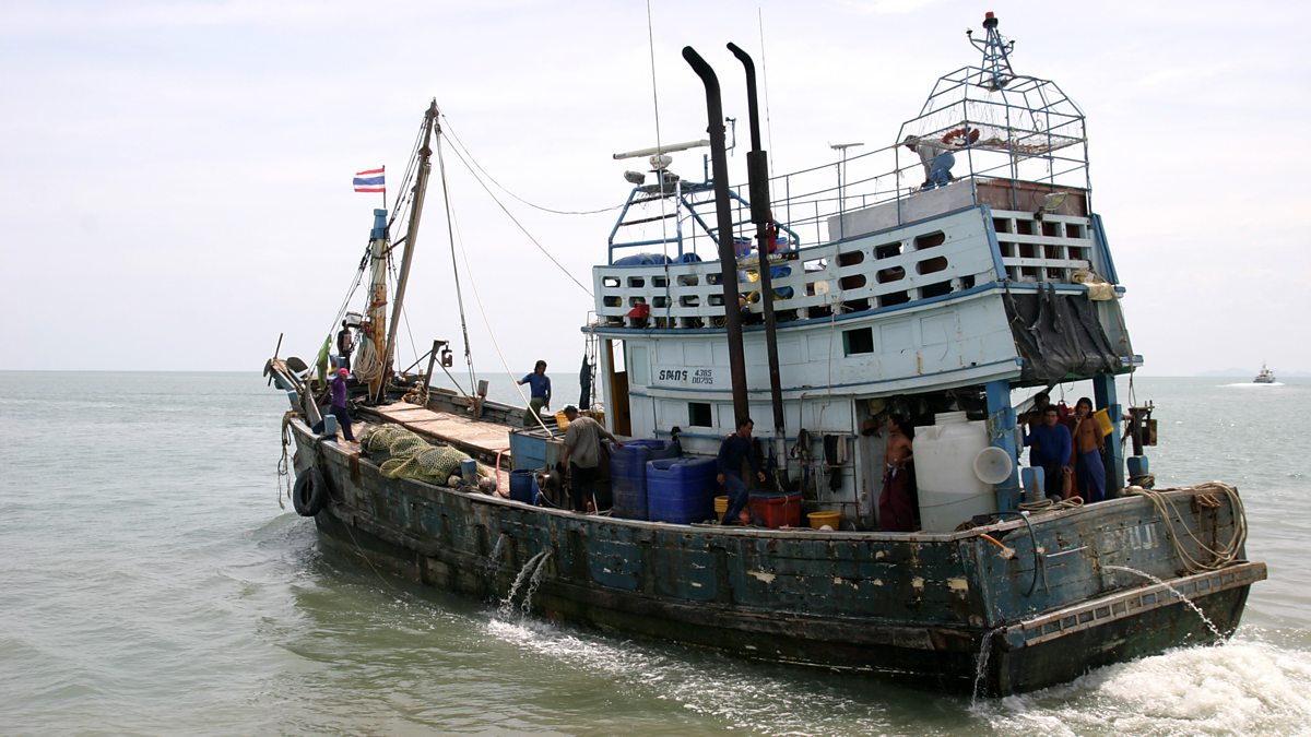 BBC Radio 4 - Crossing Continents, Thailand's Slave Fishermen