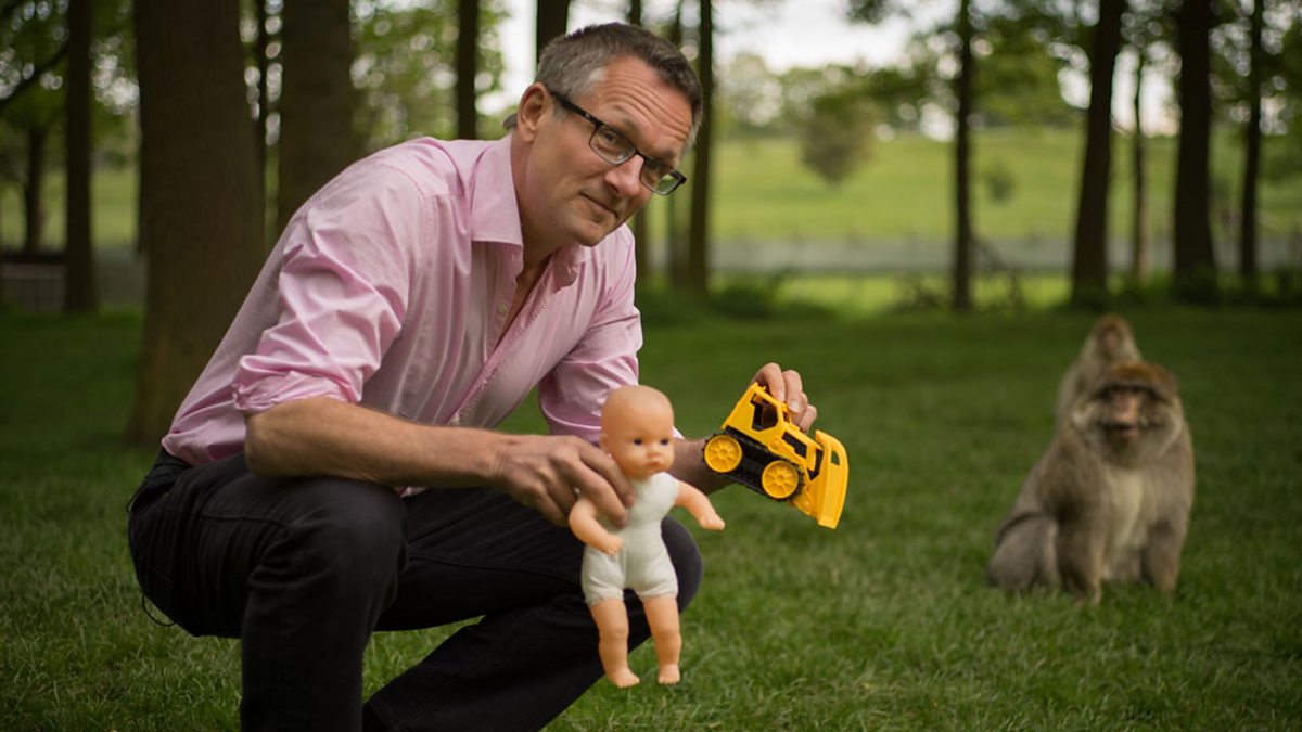 BBC Two - Horizon, 2014-2015, Is Your Brain Male or Female?, Monkey ...