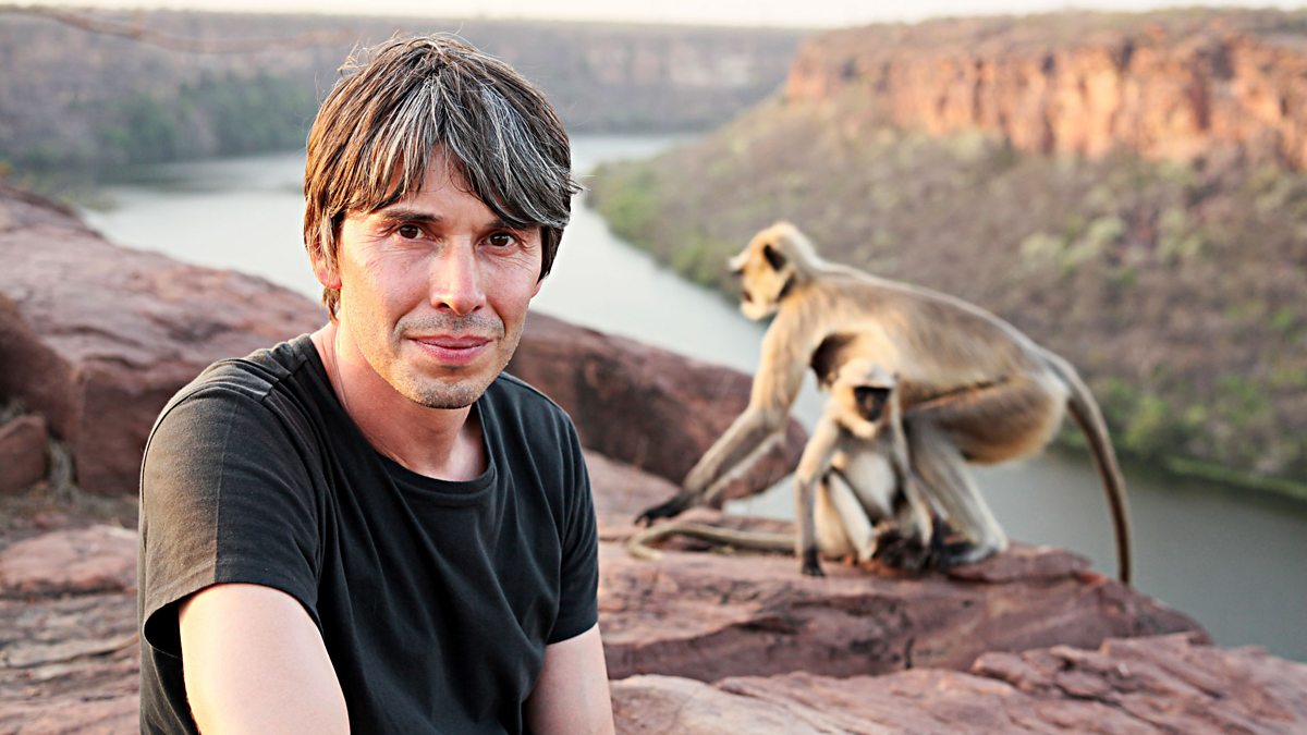 Human Universe - 2. Why Are We Here? - BBC iPlayer