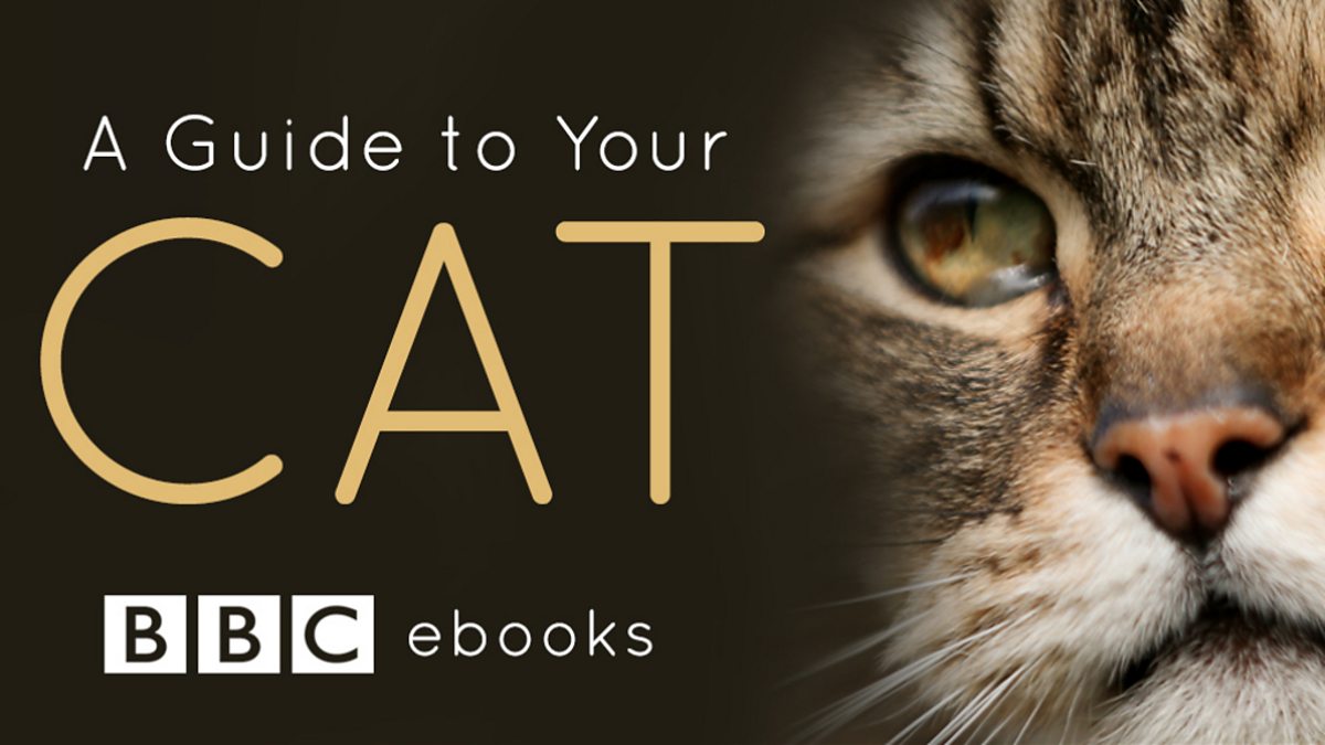 BBC Two - Cat Watch 2014: The New Horizon Experiment - A Guide to Your ...