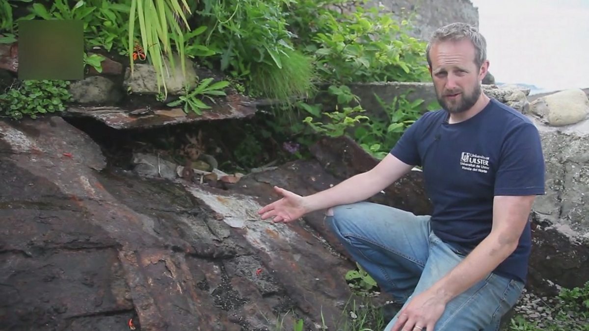 BBC Two - Digging for Ireland, An extraordinary survival