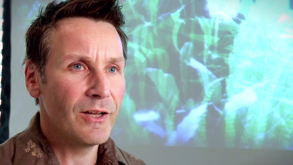 BBC One - Dylan Thomas, The Hunchback in the Park - behind the animation