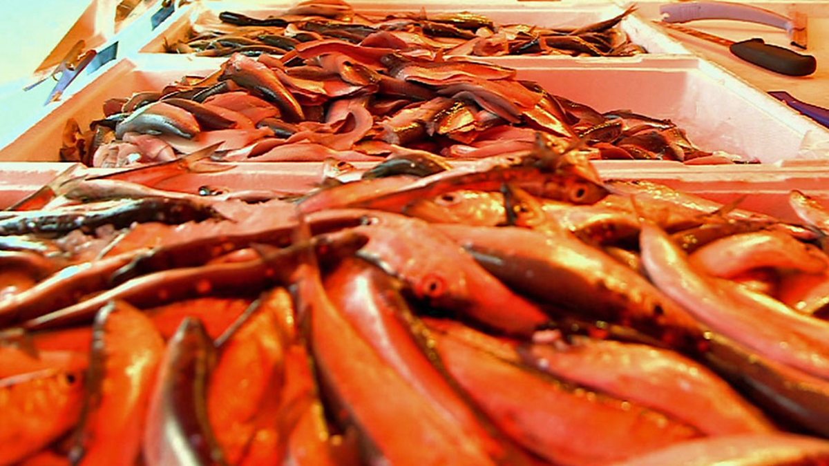 BBC News - The Travel Show, 11/10/2014 GMT, Cityzens in Finland: I sell ...