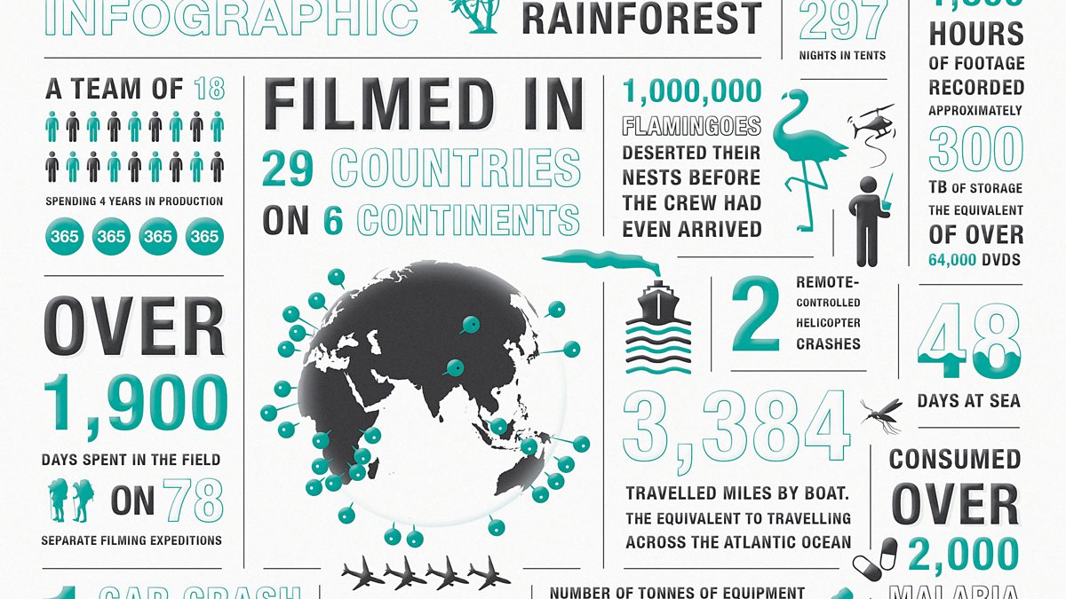 BBC One - Life Story - How we made it: The making of Life Story