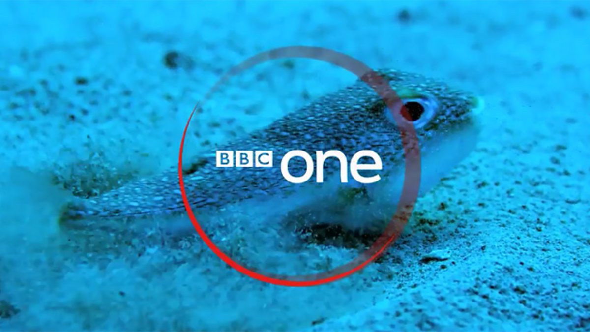 BBC One - BBC One Trailers, Life Story ident: BBC One
