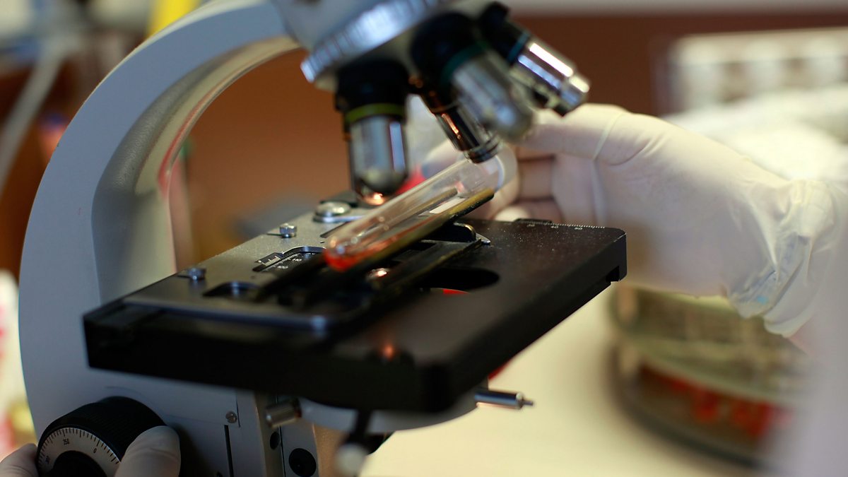 BBC World Service - Science In Action, Powerful Microscopy