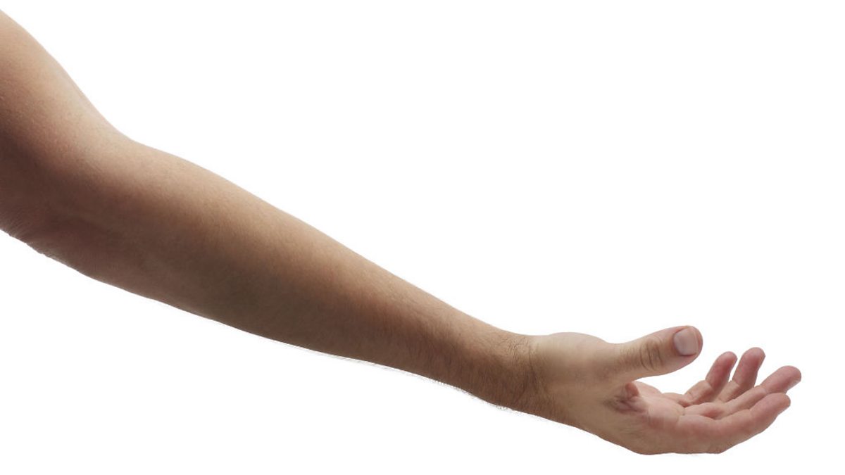 BBC Radio 5 Live - 5 Live In Short, The chance to regrow limbs