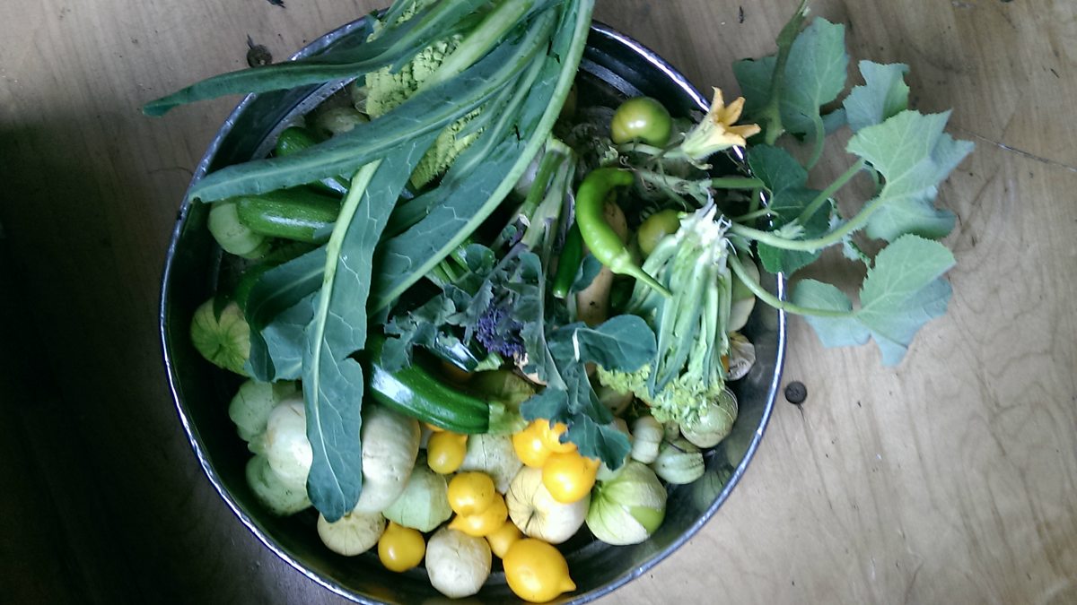 BBC Radio Ulster - Saturday Magazine, The Making of Pumpkin Pakora ...