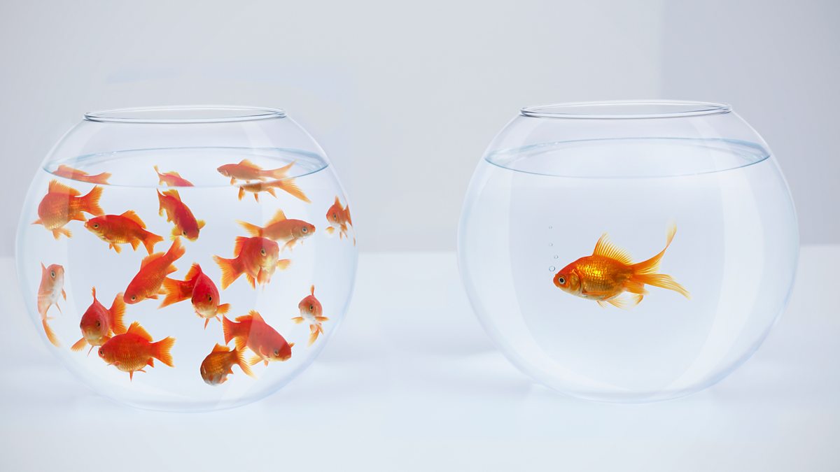 BBC Radio 4 - Sarah Wooley - Planning Permission