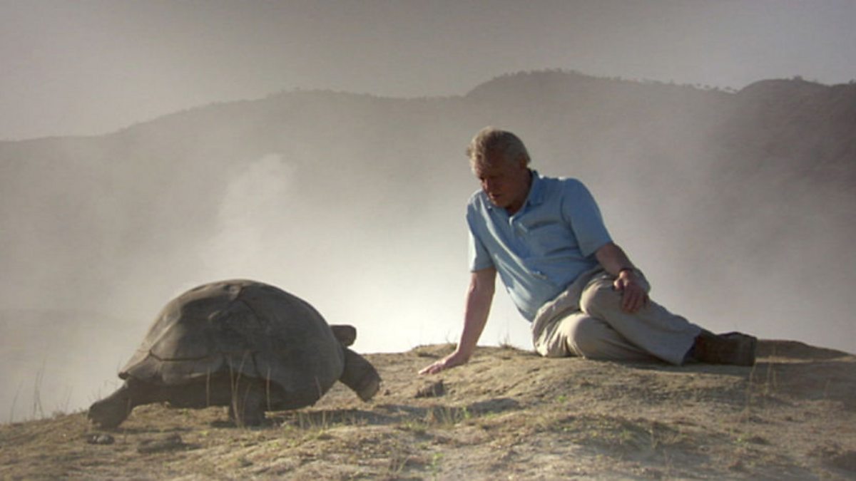 BBC - BBC Wildlife Finder, David's collection