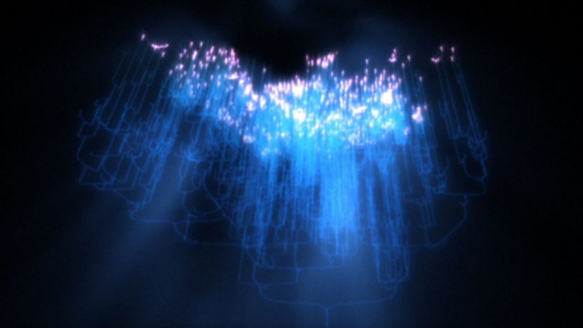 BBC One - Charles Darwin and the Tree of Life, The tree of life