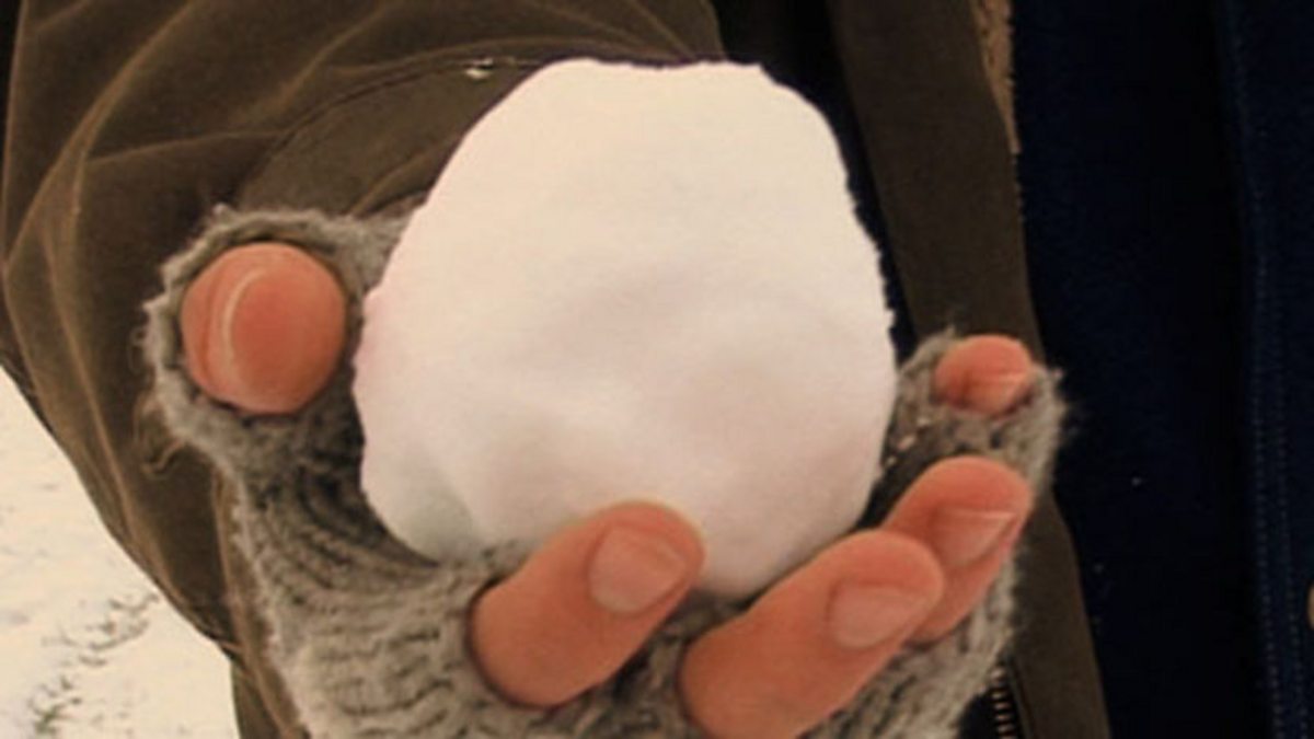BBC Two - Revealed, Revealed... Snowballs, the rules!