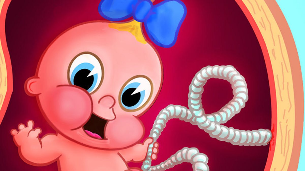 BBC - Baby Diaries, Series 1, Episode One: Week 10