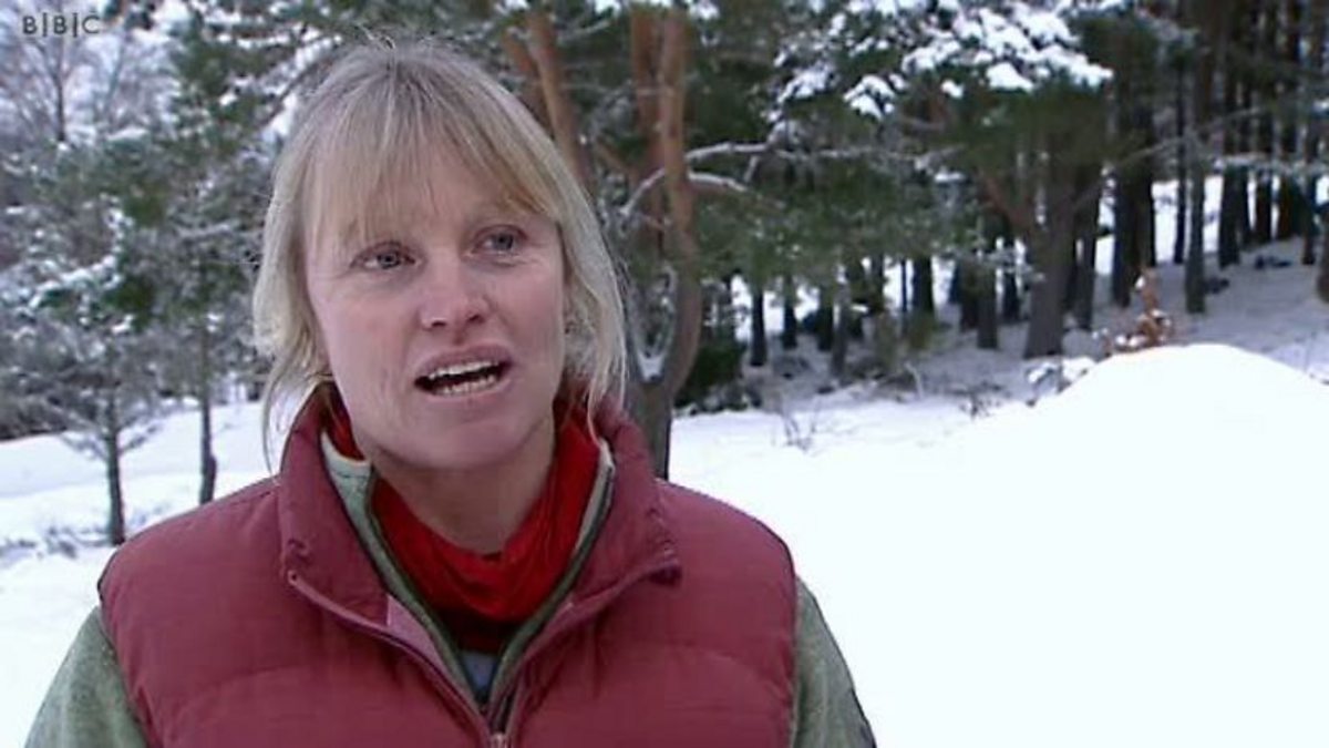 BBC Scotland - Landward, 2010/2011, Episode 1, Landward - Avalanche ...