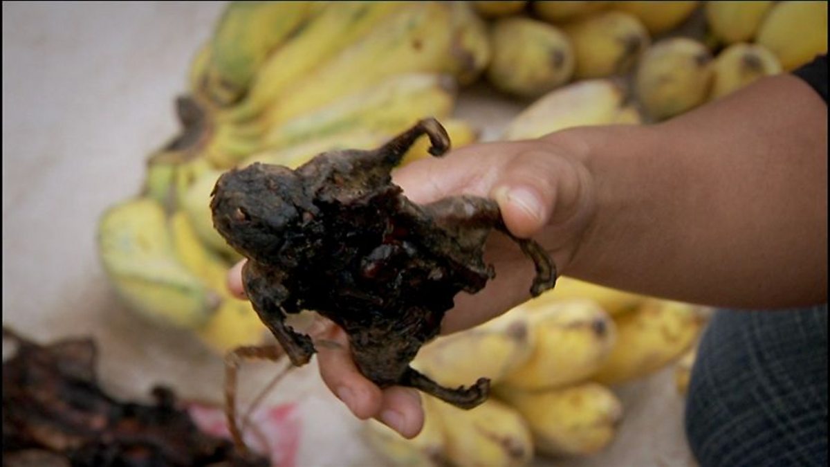 BBC Two - Tropic of Cancer with Simon Reeve, Laos to Hawaii, Grilled ...