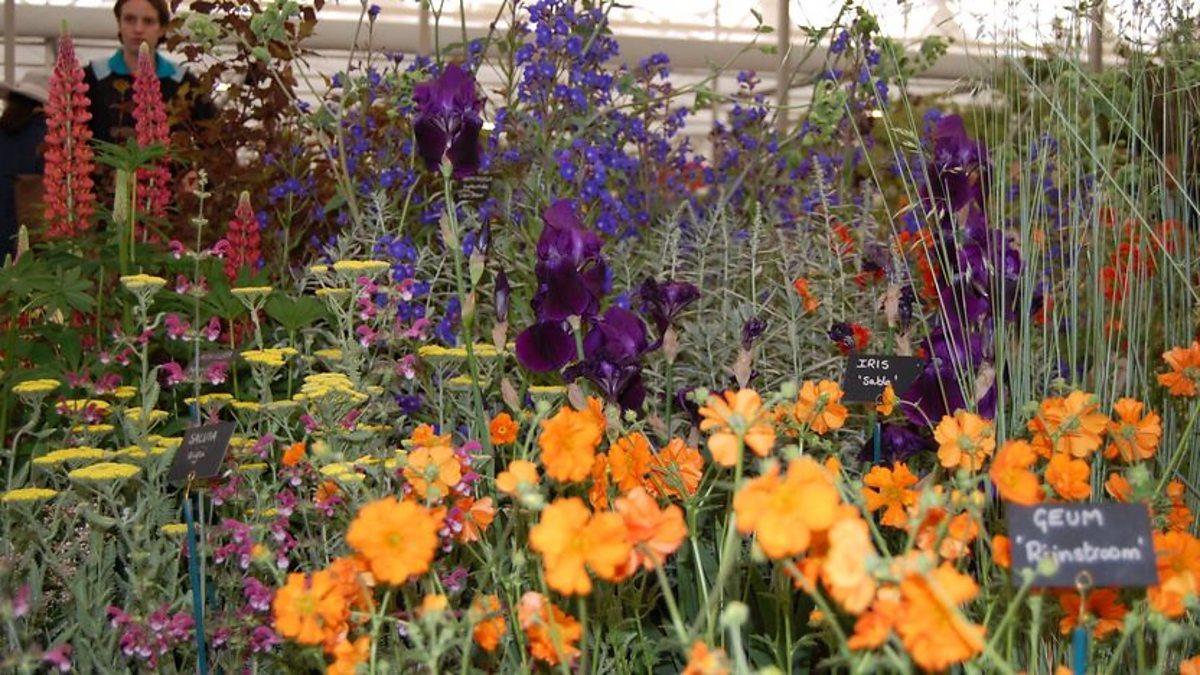 BBC Two - RHS Chelsea Flower Show, 2010, Make a bouquet with flowers ...