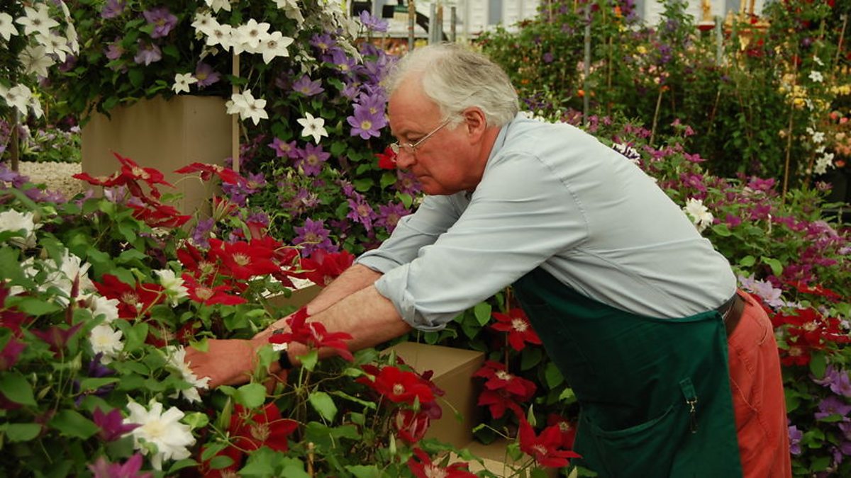 BBC Two - RHS Chelsea Flower Show, 2010, Episode 11, 20 second tips ...