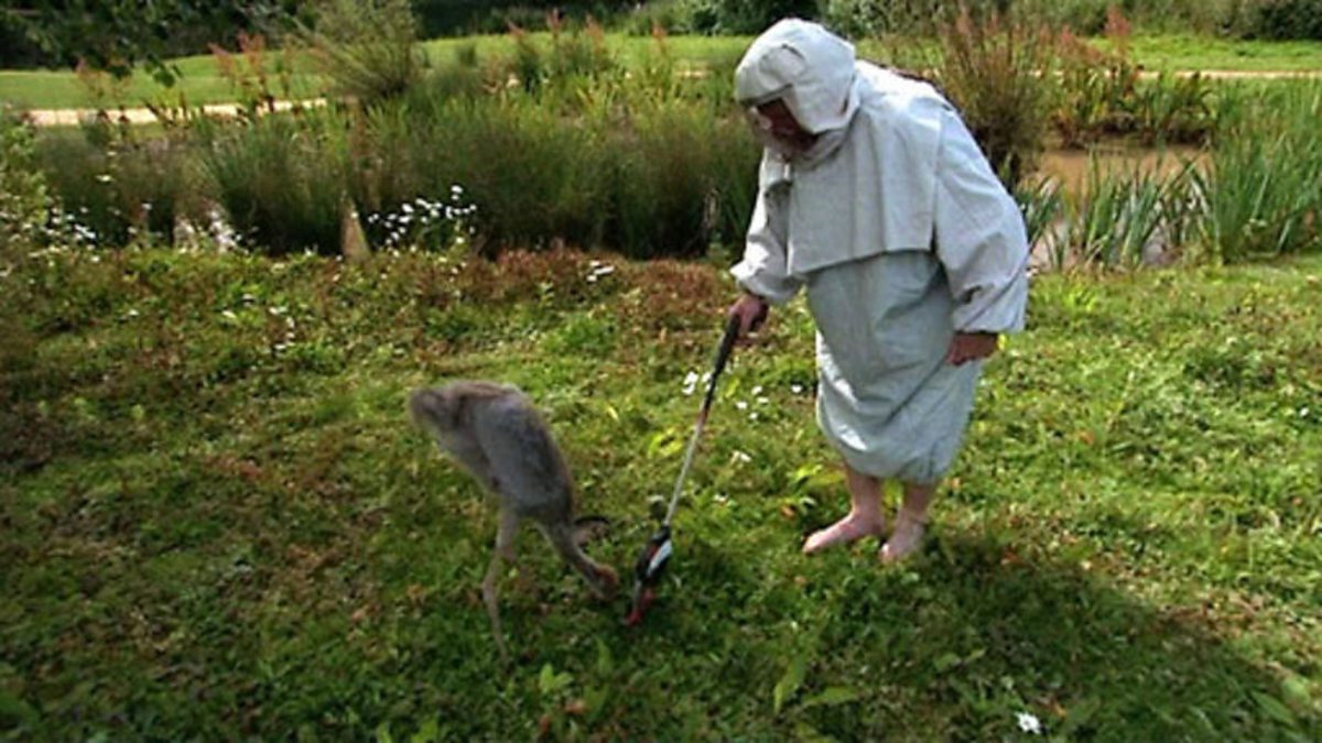 BBC Two - Springwatch, 2008, Episode 4, Supply teaching