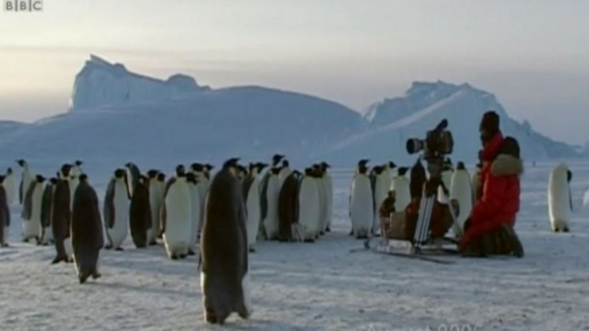 BBC One - Planet Earth, Ice Worlds, Filming in Freezing Temperatures