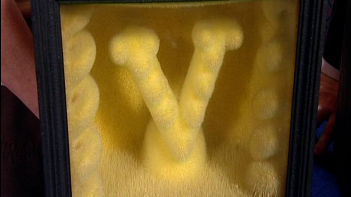 BBC One - Flog It!, Series 6, Cheltenham, Flog It Archive - Royal Crystals