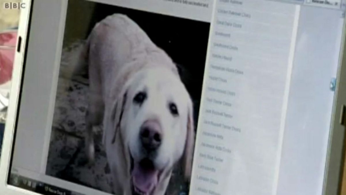 BBC Two - Working Lunch, 21/07/2009, Creating a Business on the Web