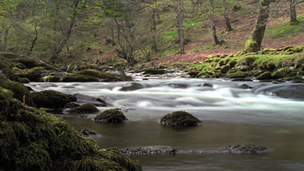 BBC Two - SHADOWS OF THE SUN, Spring to life
