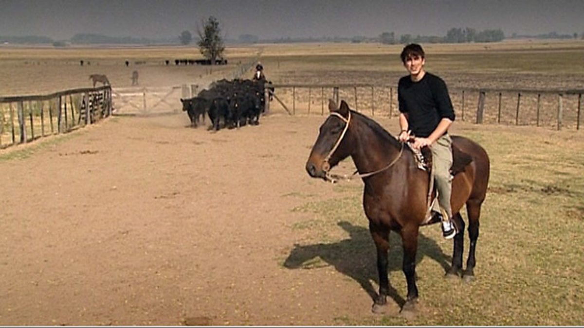 BBC Two - Explore, Patagonia to the Pampas, Pampas cattle farming