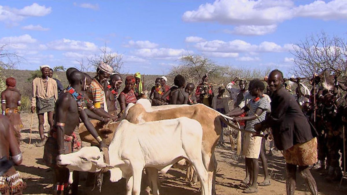 BBC Two - Tribal Wives, Series 2, Ethiopia, Hamar rituals