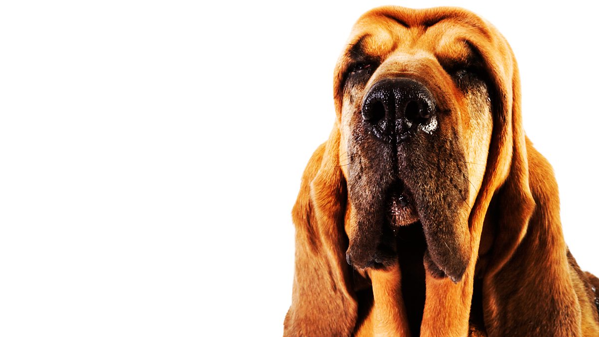 BBC Radio 4 Extra - Deadpan