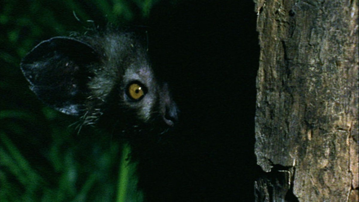 BBC One - Predators, SPECIAL AGENTS, Digital data