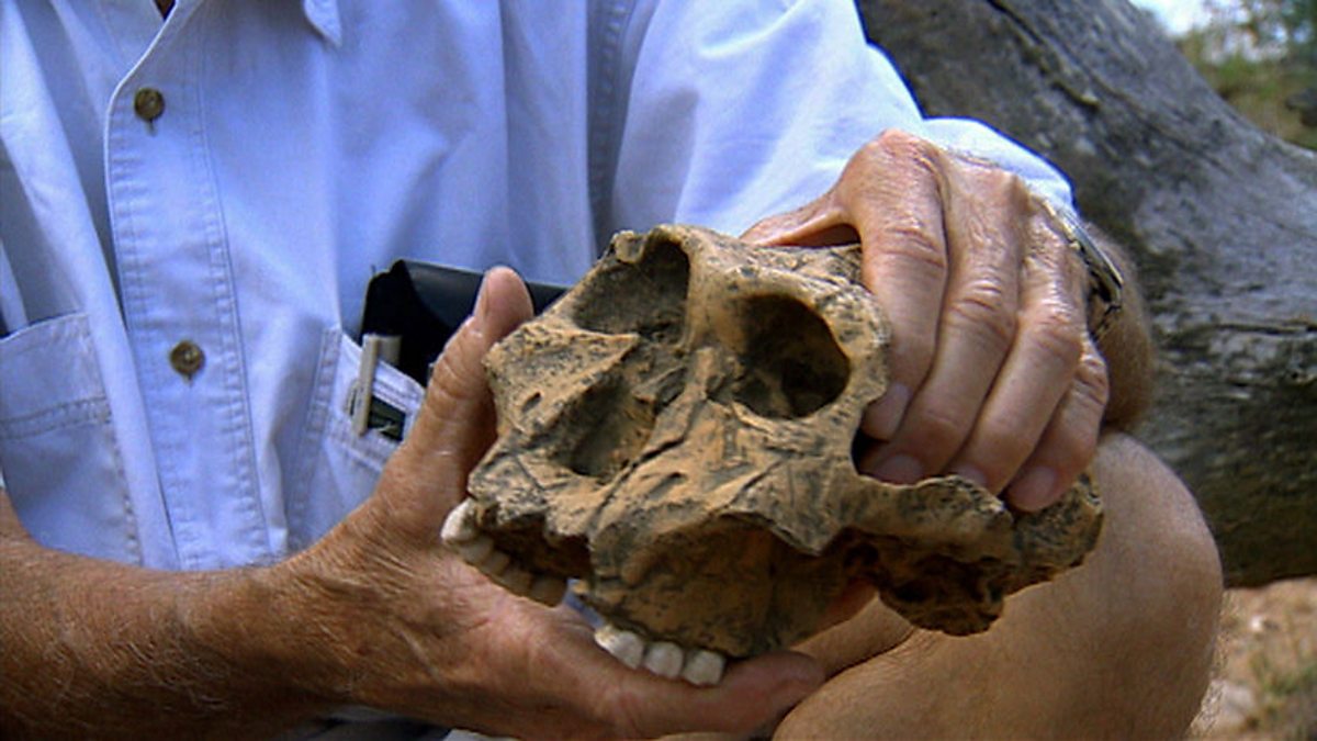 BBC One - Walking with Beasts, The Science of Walking with Beasts, The ...